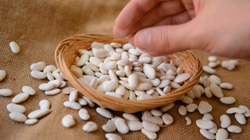 White Bean (WAL) – Family E Mart